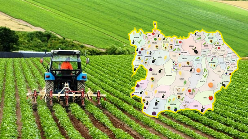 Bursa'da çiftçiye büyük kolaylık: Hangi bölgede ne yetişir? İşte ürün ...