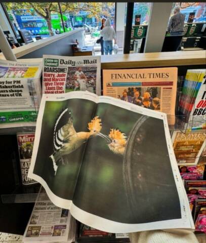 Dünyanın en ünlü gazetesinden Bursa'ya 2 tam sayfa! - Olay Gazetesi Bursa